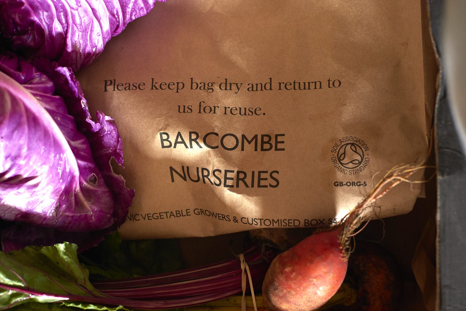 Case Study: Barcombe Nurseries | Sussex Photography